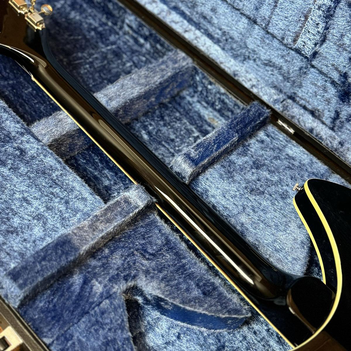 FERNANDES RG-120 12 String ｜Hirano Music Online Store