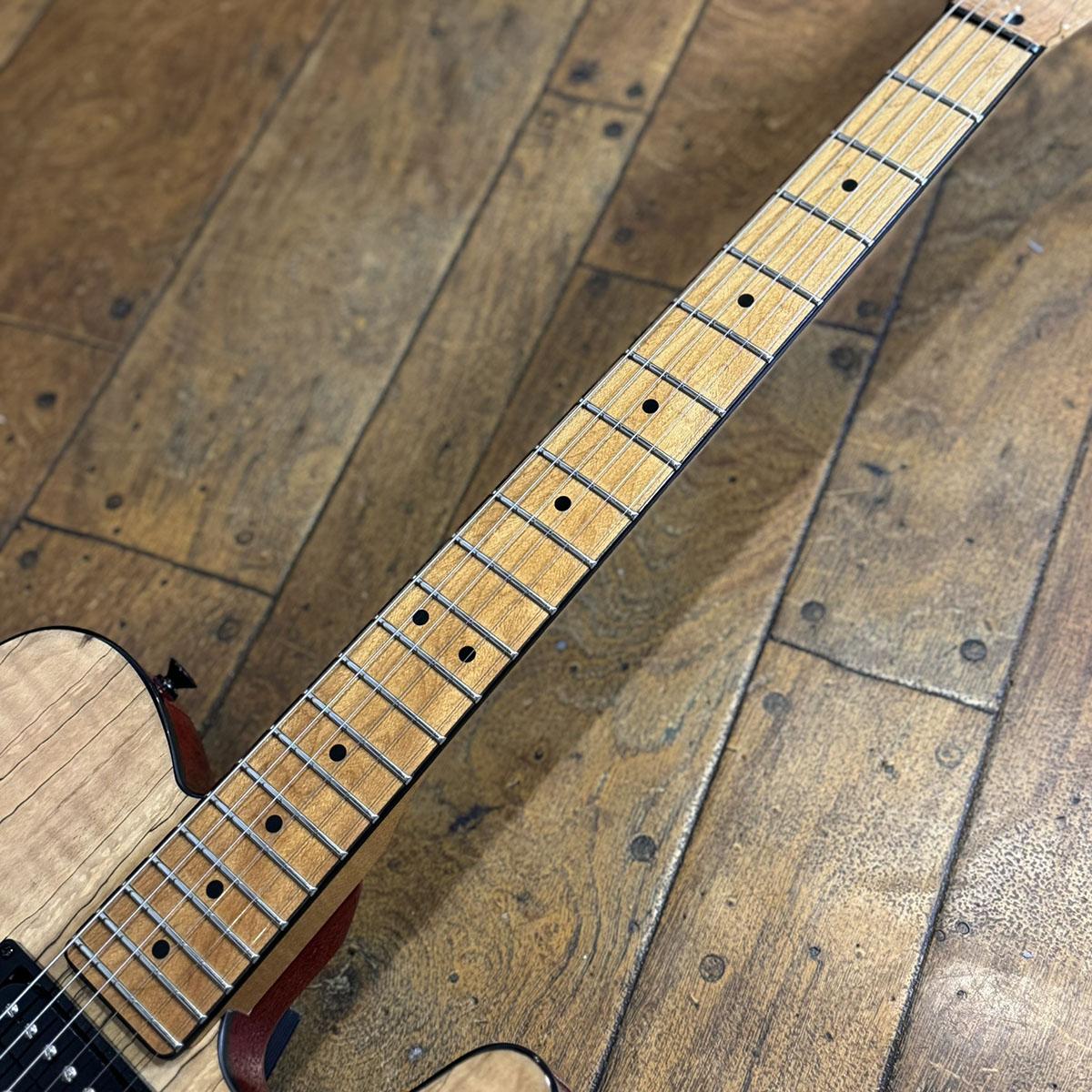 Squier FSR Contemporary Exotic Telecaster RH Spalted Maple Top Roasted ...