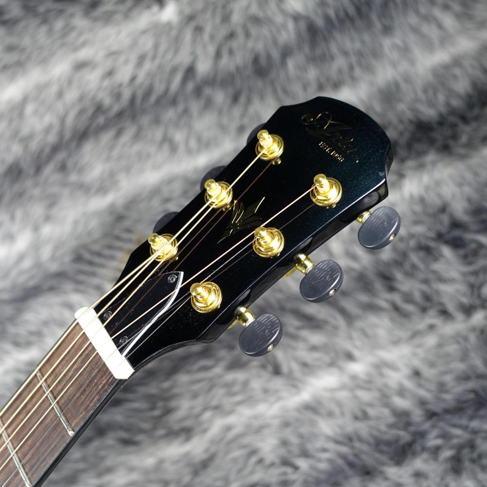 ARIA FET-F2/BnG BK ｜Hirano Music Online Store