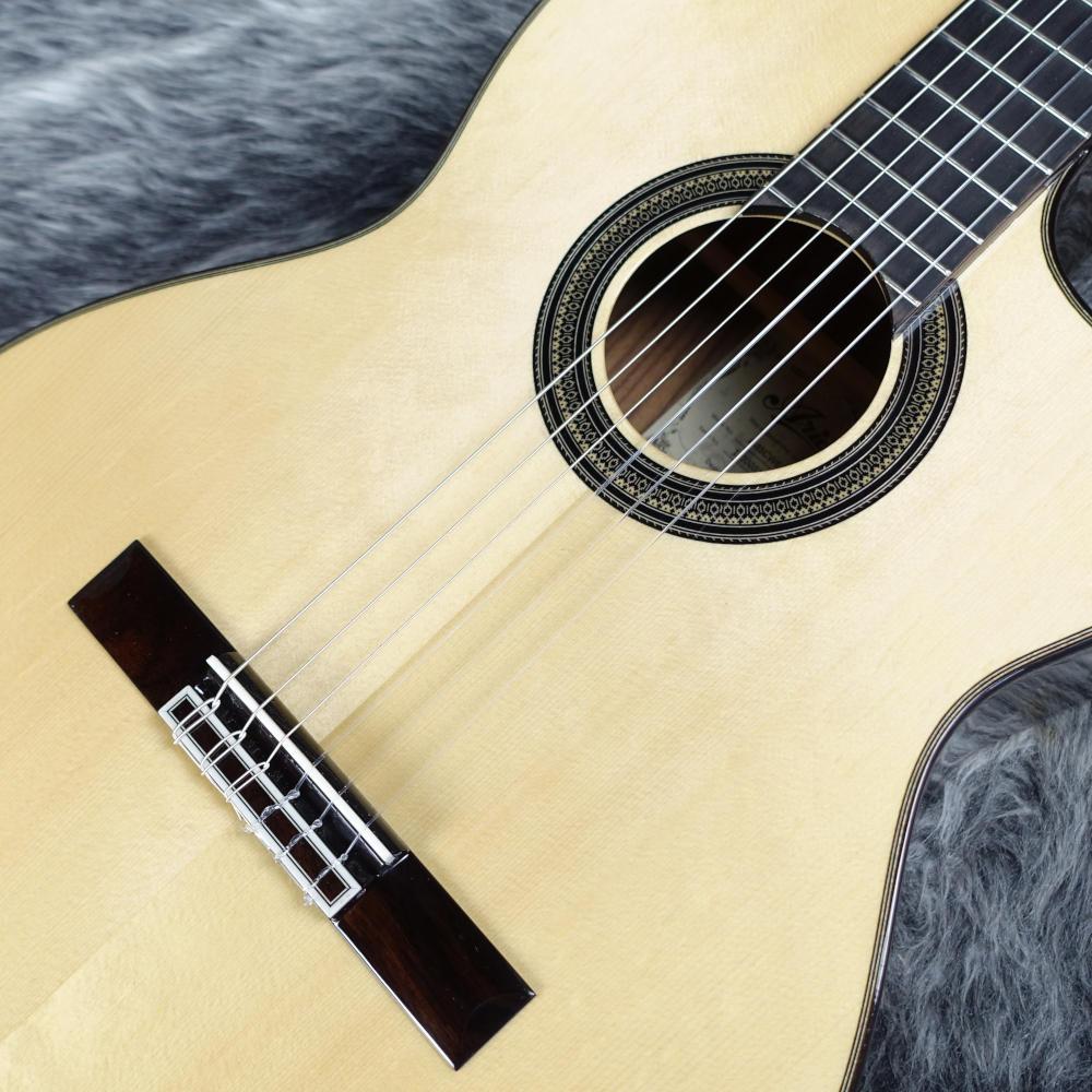 ARIA A-85CWE ｜Hirano Music Online Store