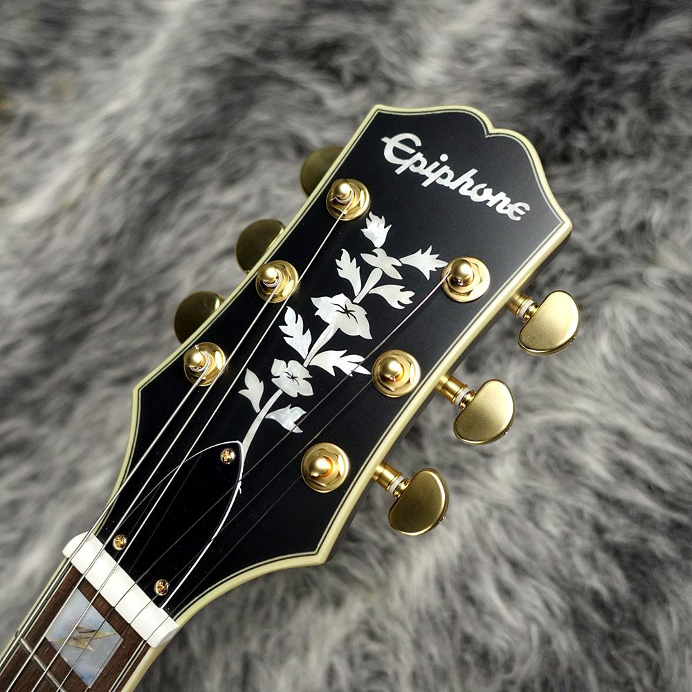Epiphone Emily Wolfe Sheraton Stealth Black Aged Gloss ｜Hirano Music ...