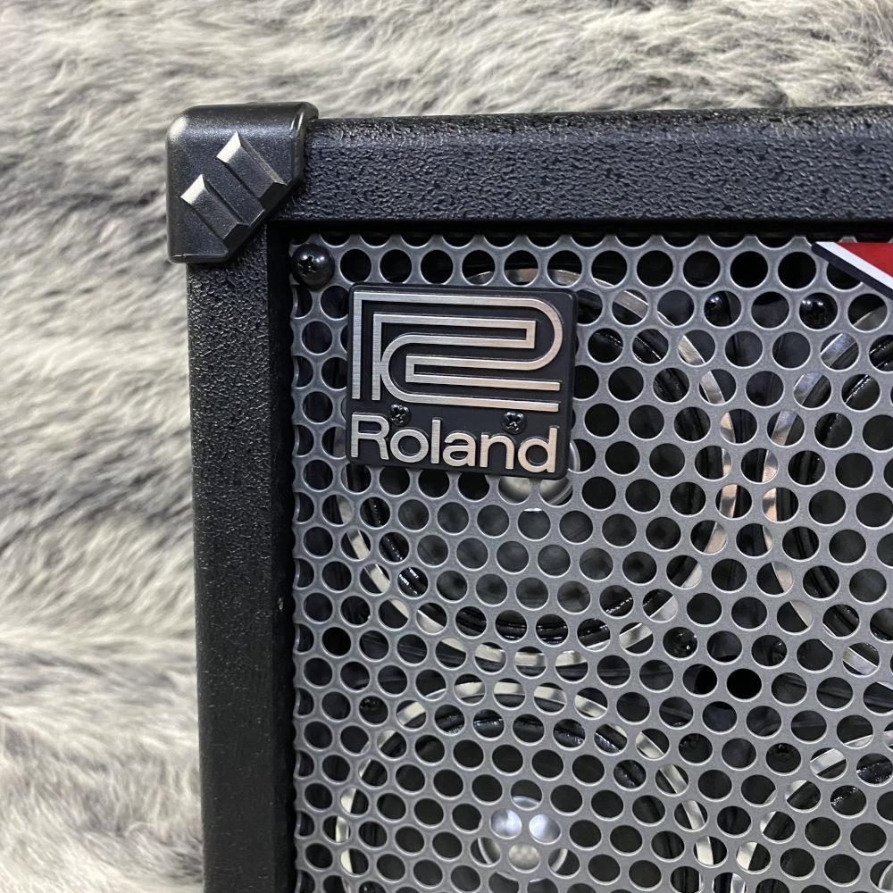 Roland MICRO CUBE RX ｜Hirano Music Online Store