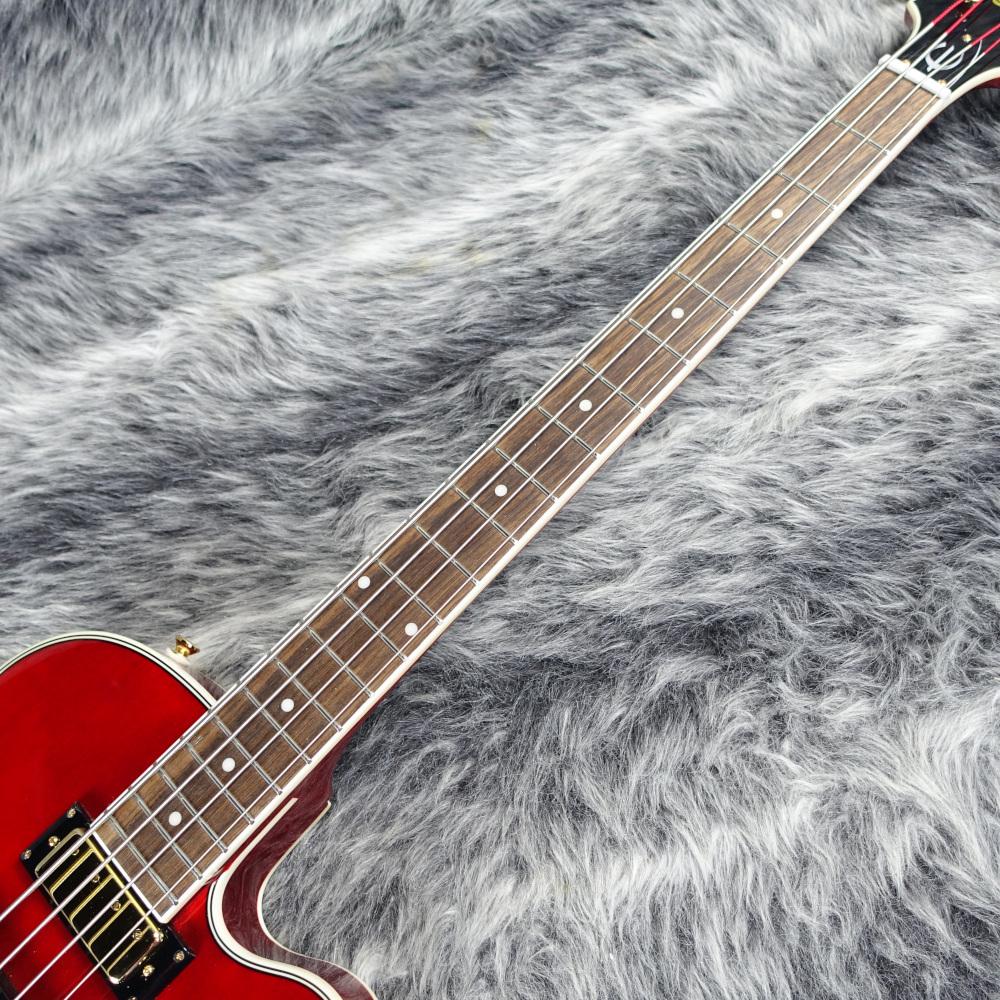 Epiphone Allen Woody Rumblekat Bass Wine Red ｜Hirano Music Online Store